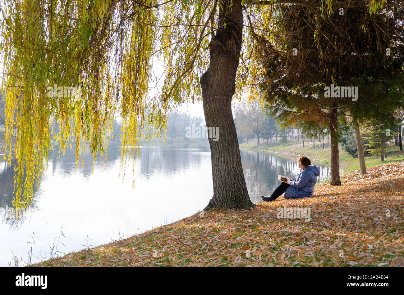 Sitting under willow tree hi-res stock photography and images - Alamy