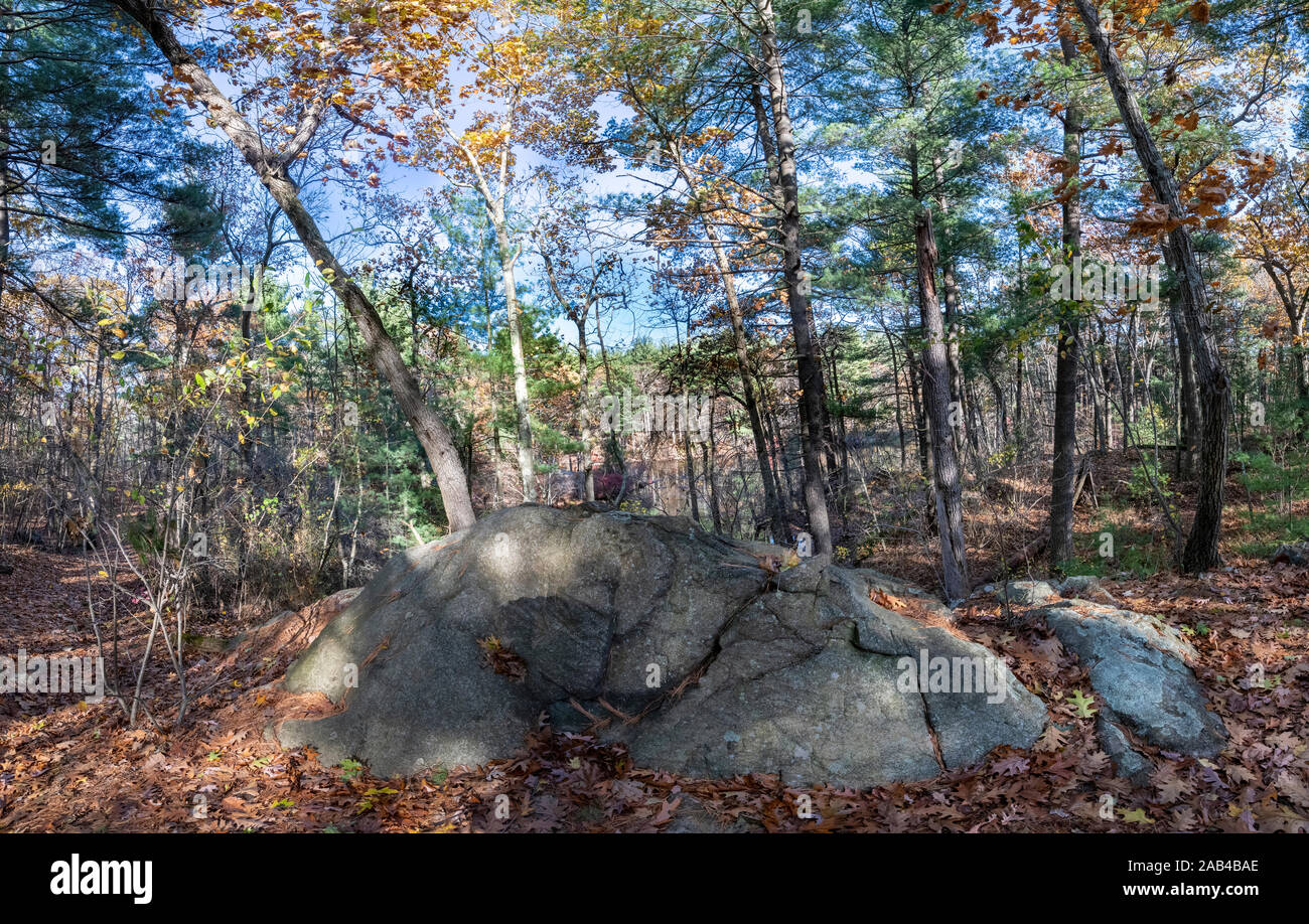 Trees and rocks Stock Photo - Alamy