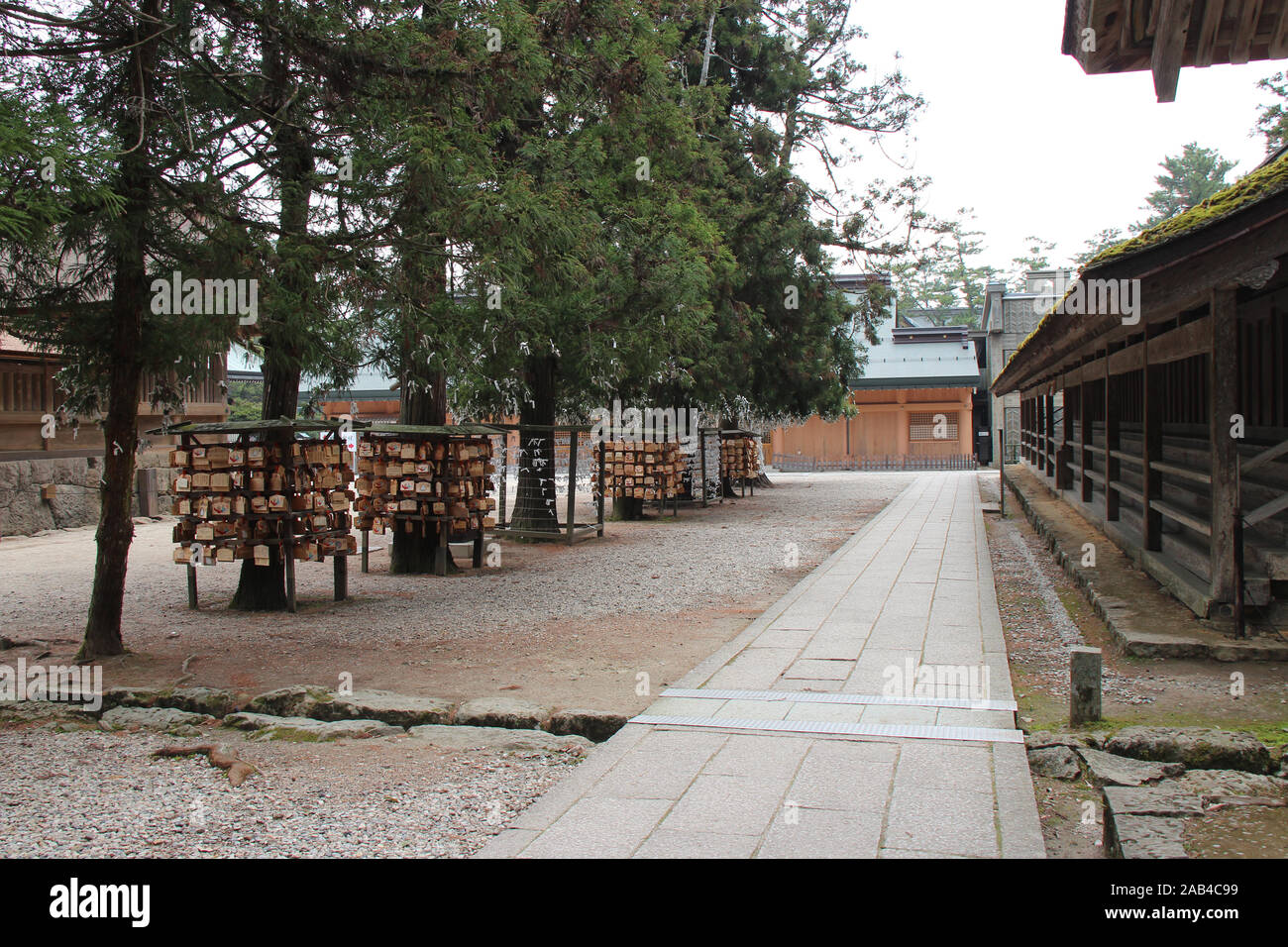 path and builings in a shinto shrine (izumo-taisha) in izumo (japan ...