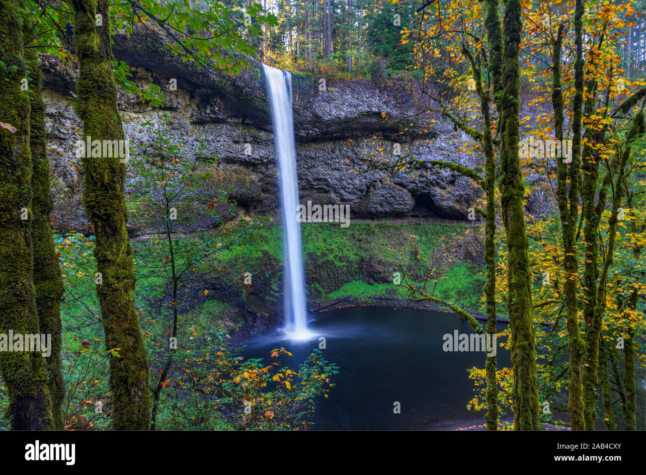 Silver Falls State Park is the perfect place to visit in fall if you ...