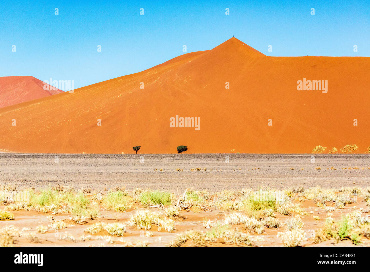 Sossusvlei and red sand dunes in the namib desert in Namibia, Africa ...
