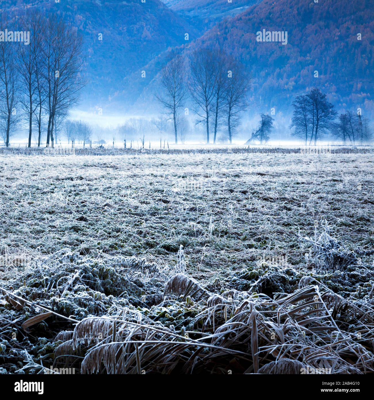Winter landscape with hoarfrost hi-res stock photography and images - Alamy