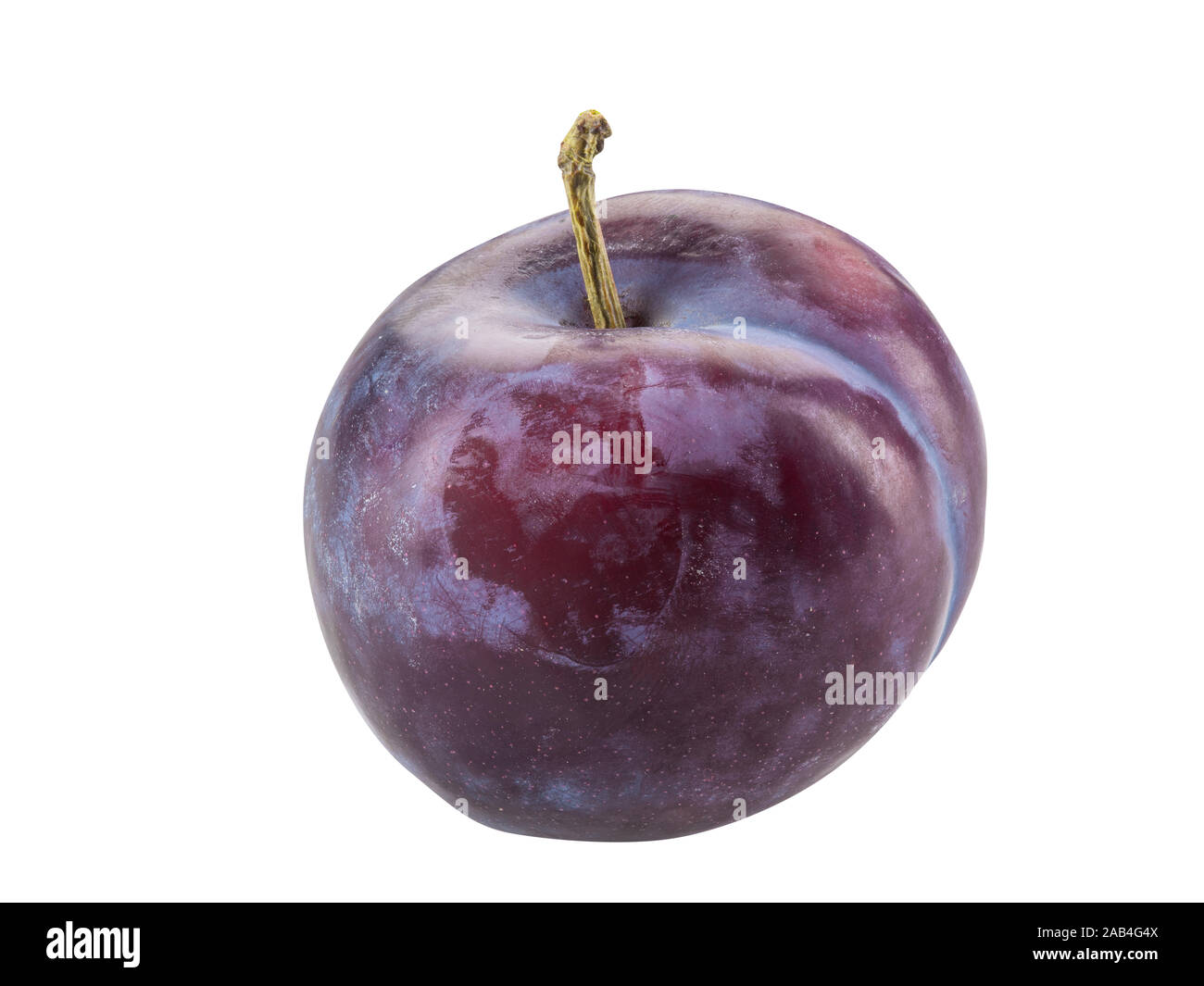 Smooth-skinned, mellow, purple plum fruit isolated on white background ...