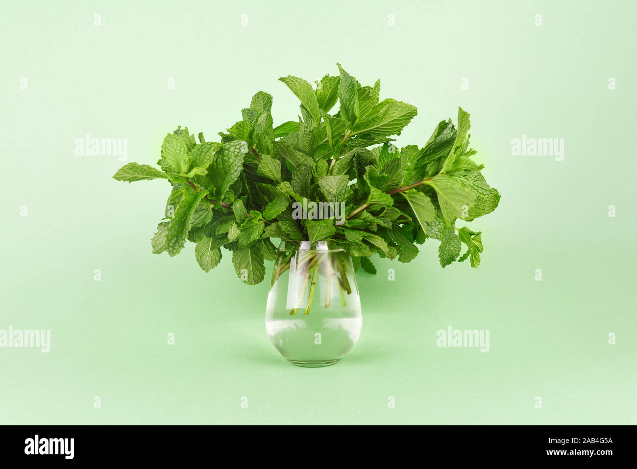 Minty green colour hi-res stock photography and images - Alamy
