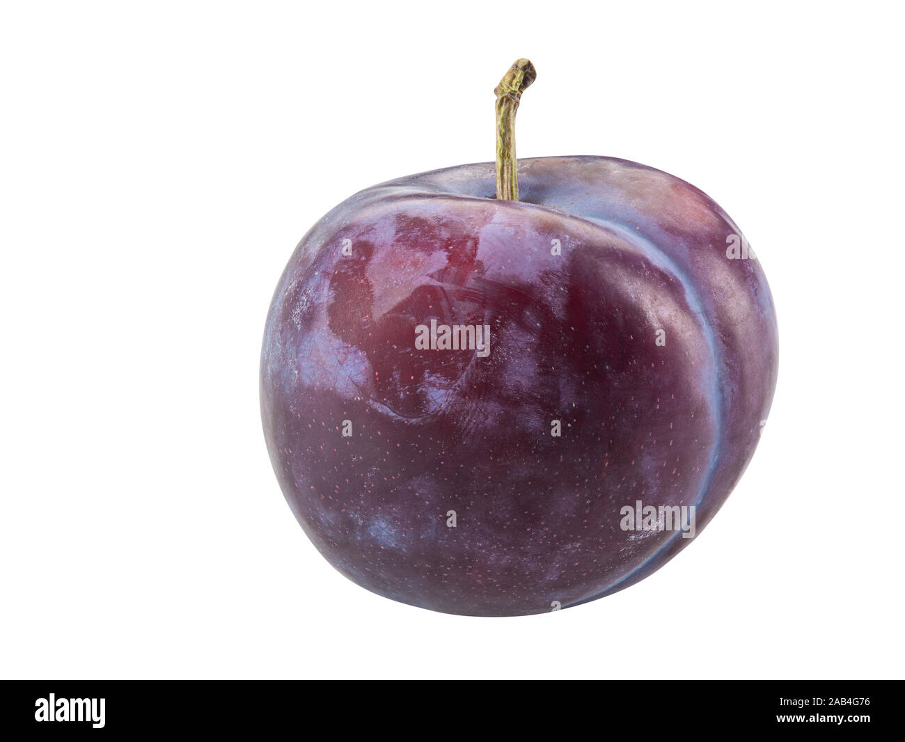 Smooth-skinned, mellow, purple plum fruit isolated on white background ...