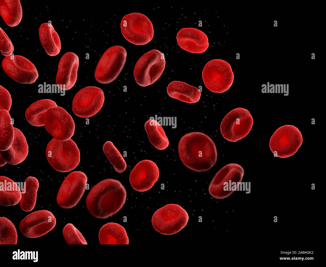 3d rendered medically accurate illustration of human blood cells Stock ...