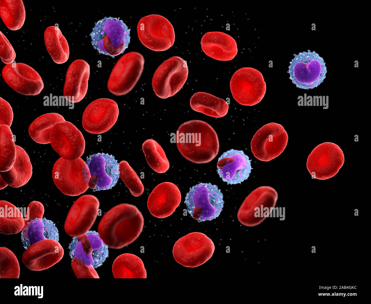3d rendered medically accurate illustration of human blood cells and ...