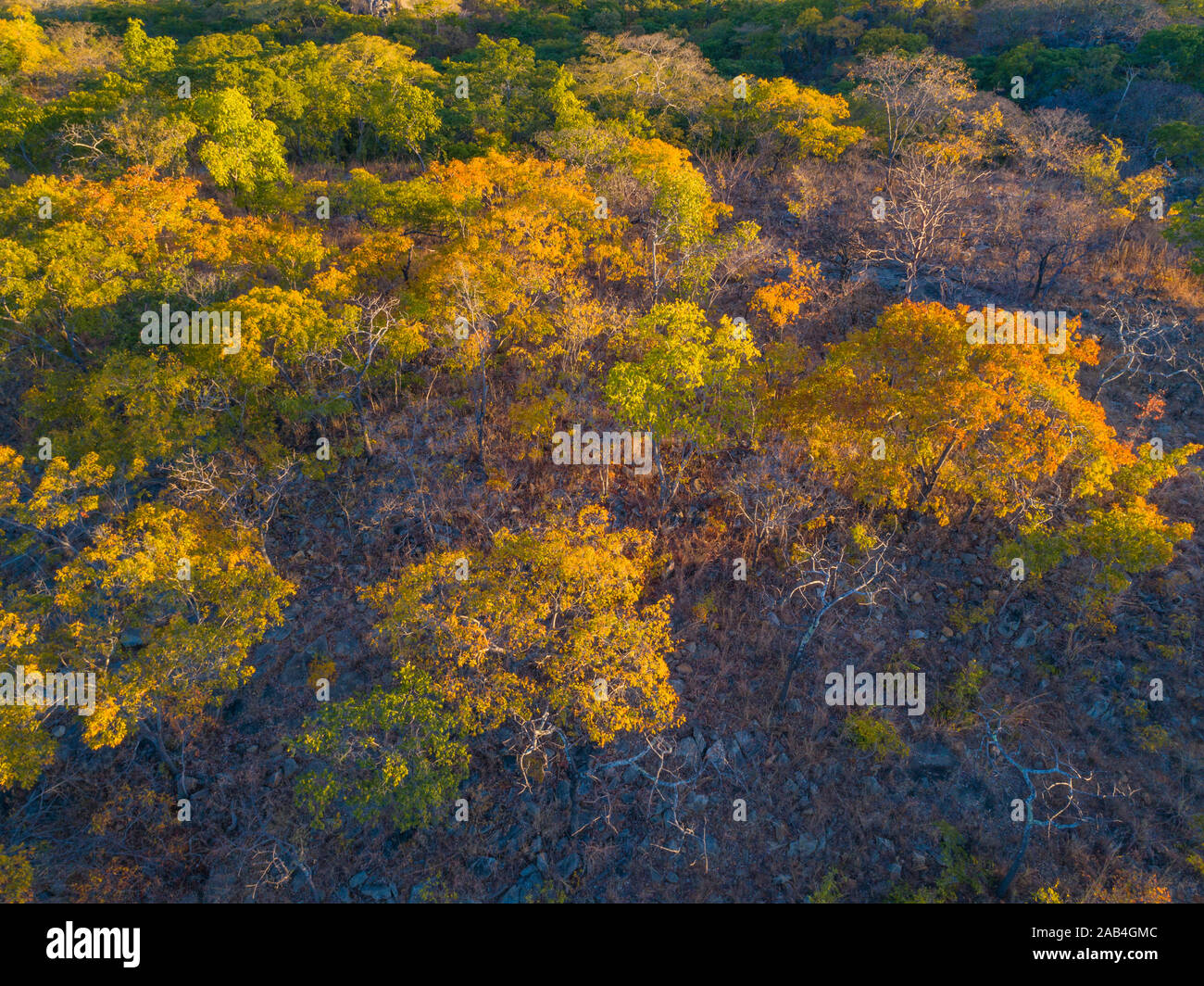 An aerial view of lush spring vegetation in Zimbabwe Stock Photo - Alamy