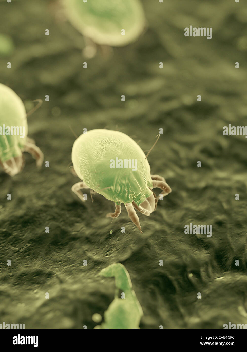 Dust ball monster hi-res stock photography and images - Alamy