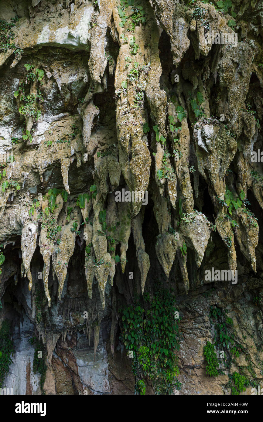 Rock formations in cave Borneo Malaysia Stock Photo - Alamy