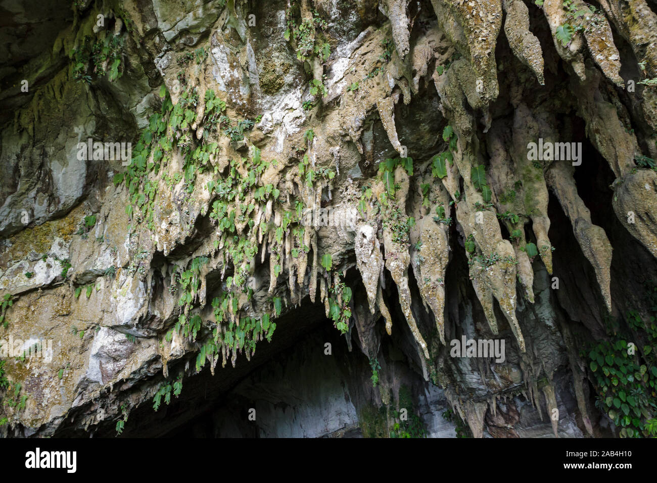 Rock formations in cave Borneo Malaysia Stock Photo - Alamy
