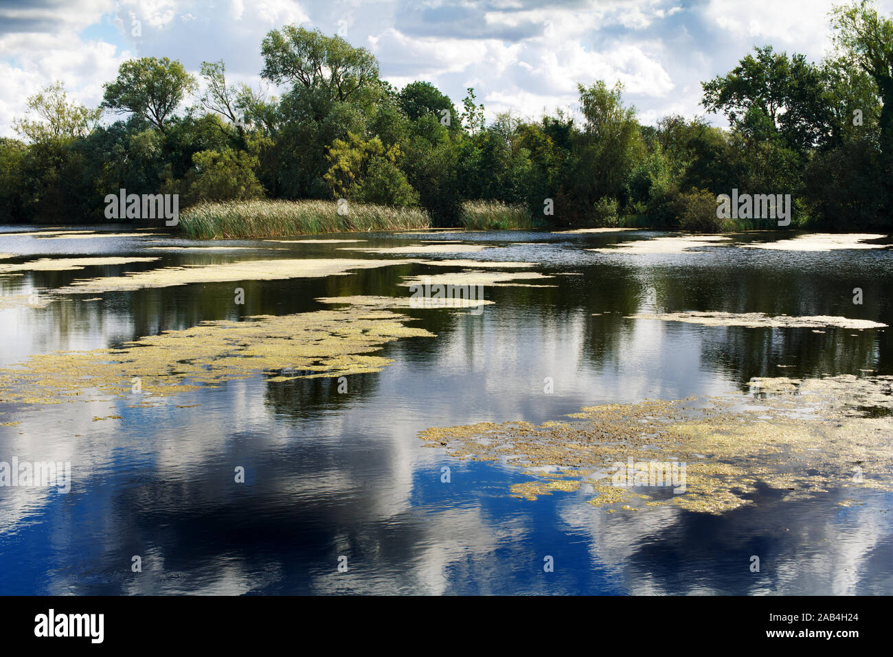 Reflections of the sky in the tranquil waters of Felmersham Gravel Pits ...