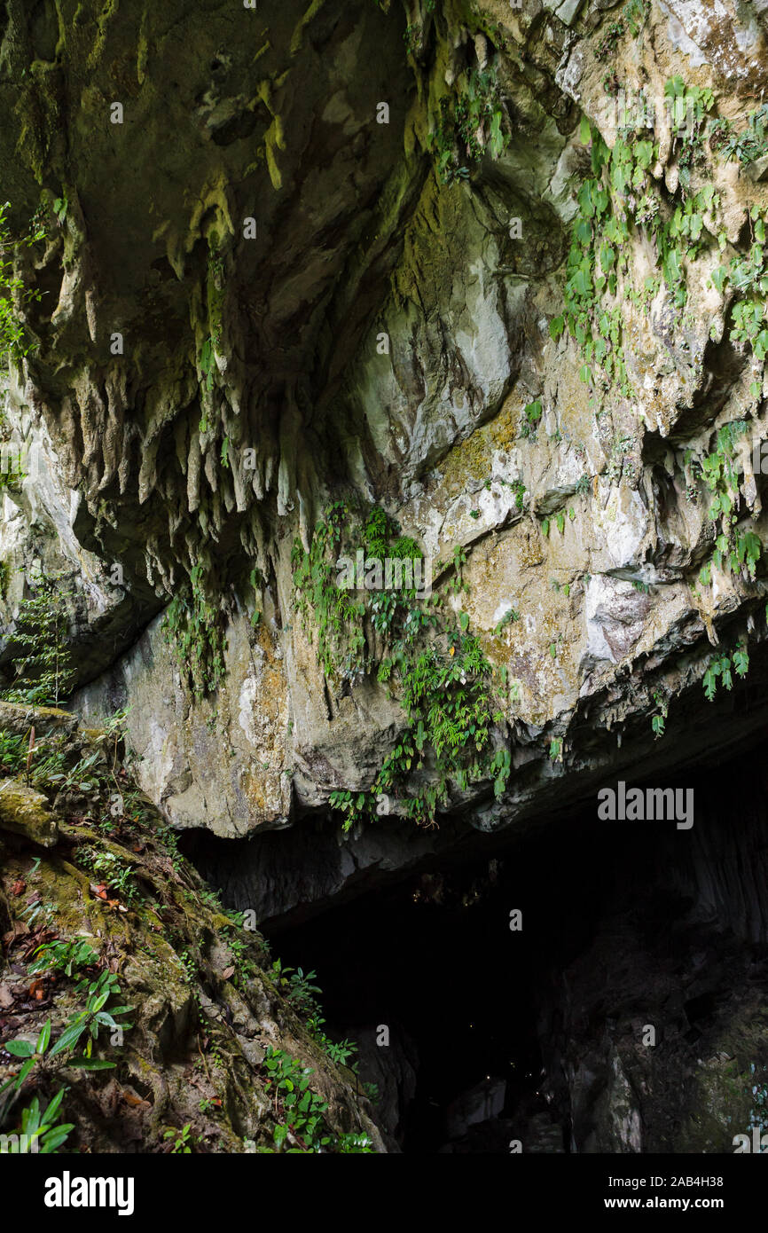 Rock formations in cave Borneo Malaysia Stock Photo - Alamy