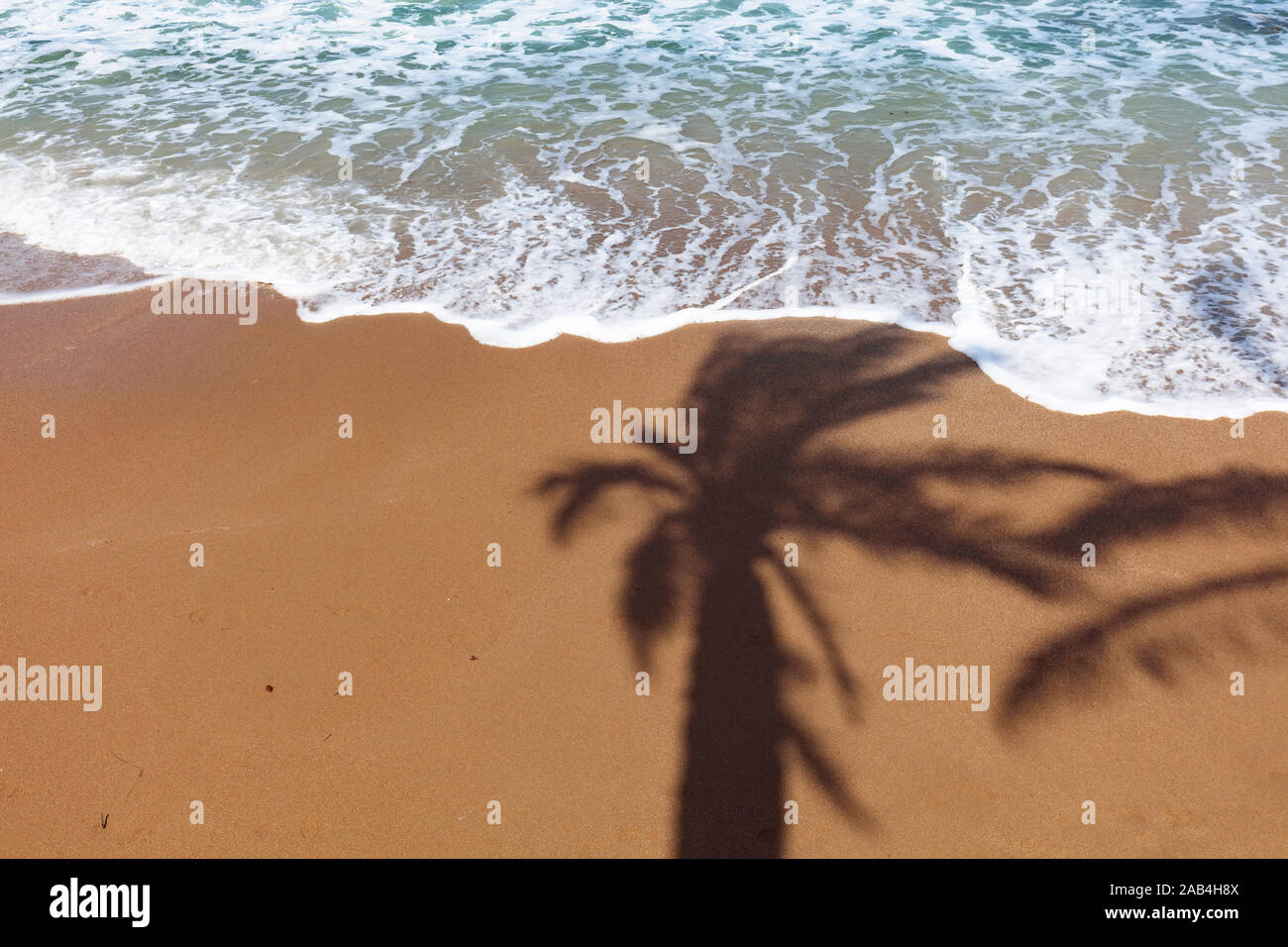Tropical beach. Pristine tropical beach with palm trees shadows on a ...
