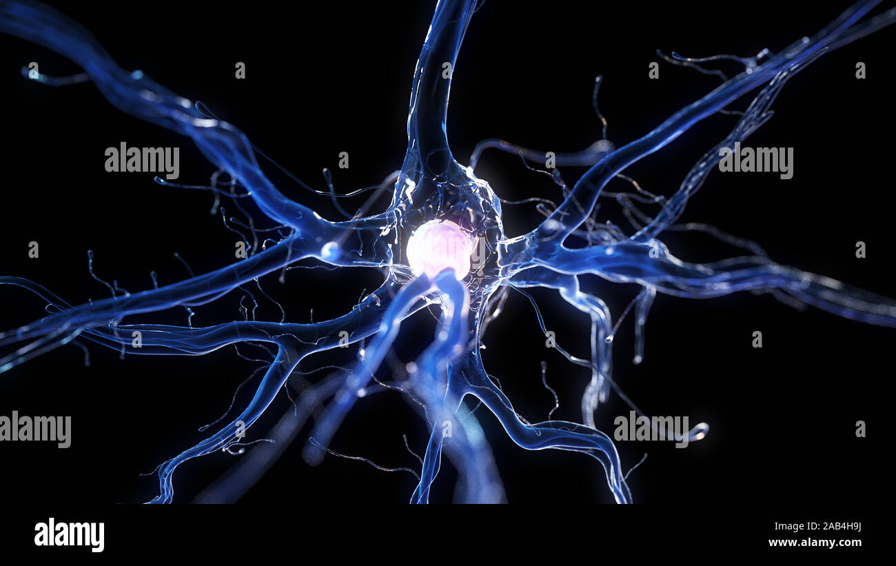 3d rendered illustration of a human nerve cell Stock Photo - Alamy