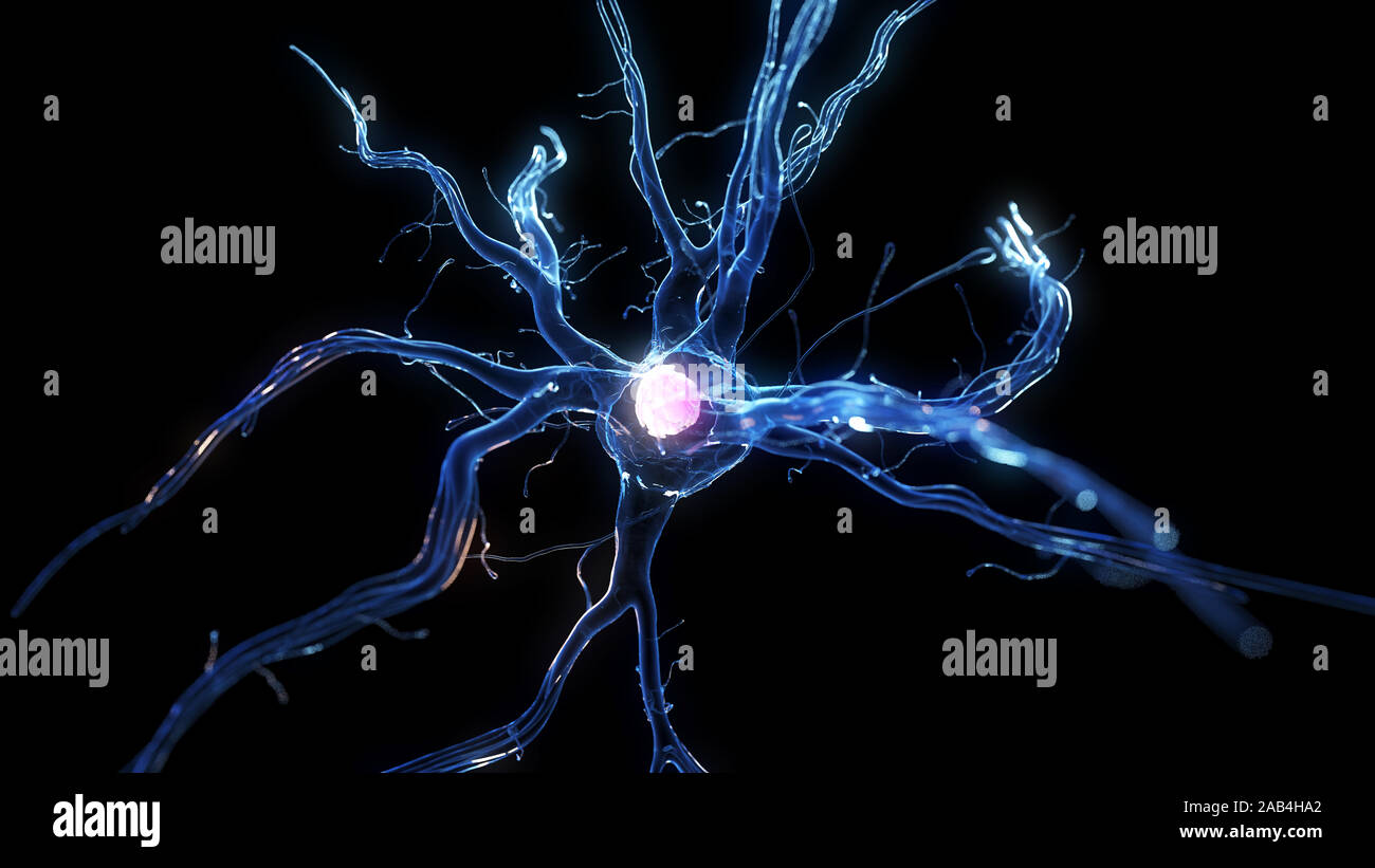 3d rendered illustration of a human nerve cell Stock Photo - Alamy