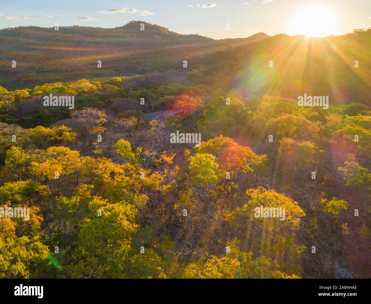 An aerial view of lush spring vegetation in Zimbabwe Stock Photo - Alamy