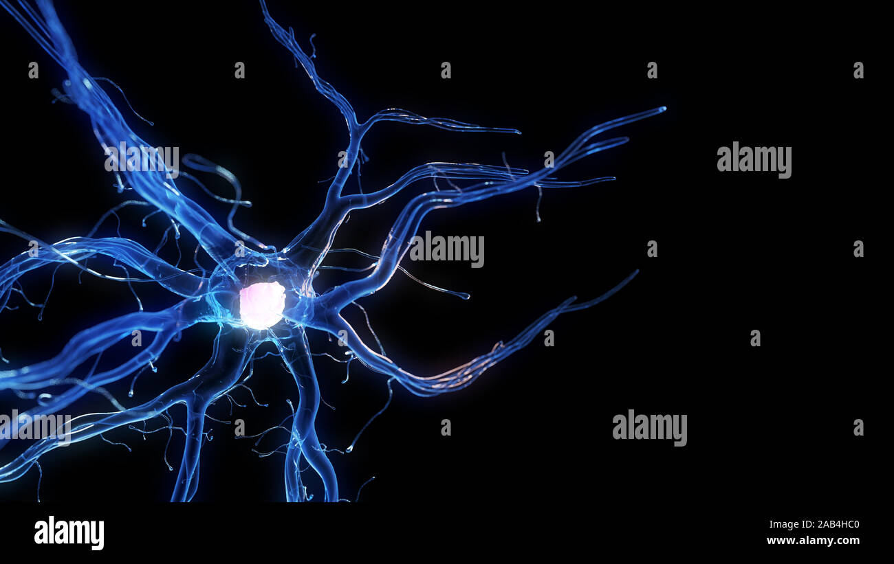 Human nerve tissue microscopic hi-res stock photography and images - Alamy