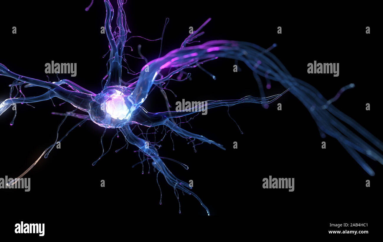 3d rendered illustration of a human nerve cell Stock Photo - Alamy