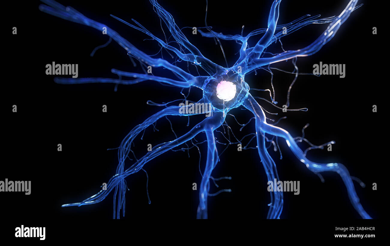 3d rendered illustration of a human nerve cell Stock Photo - Alamy