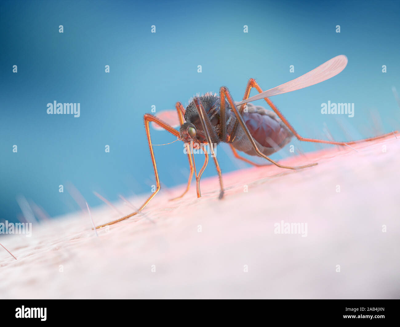 Mosquito bite rash hi-res stock photography and images - Alamy