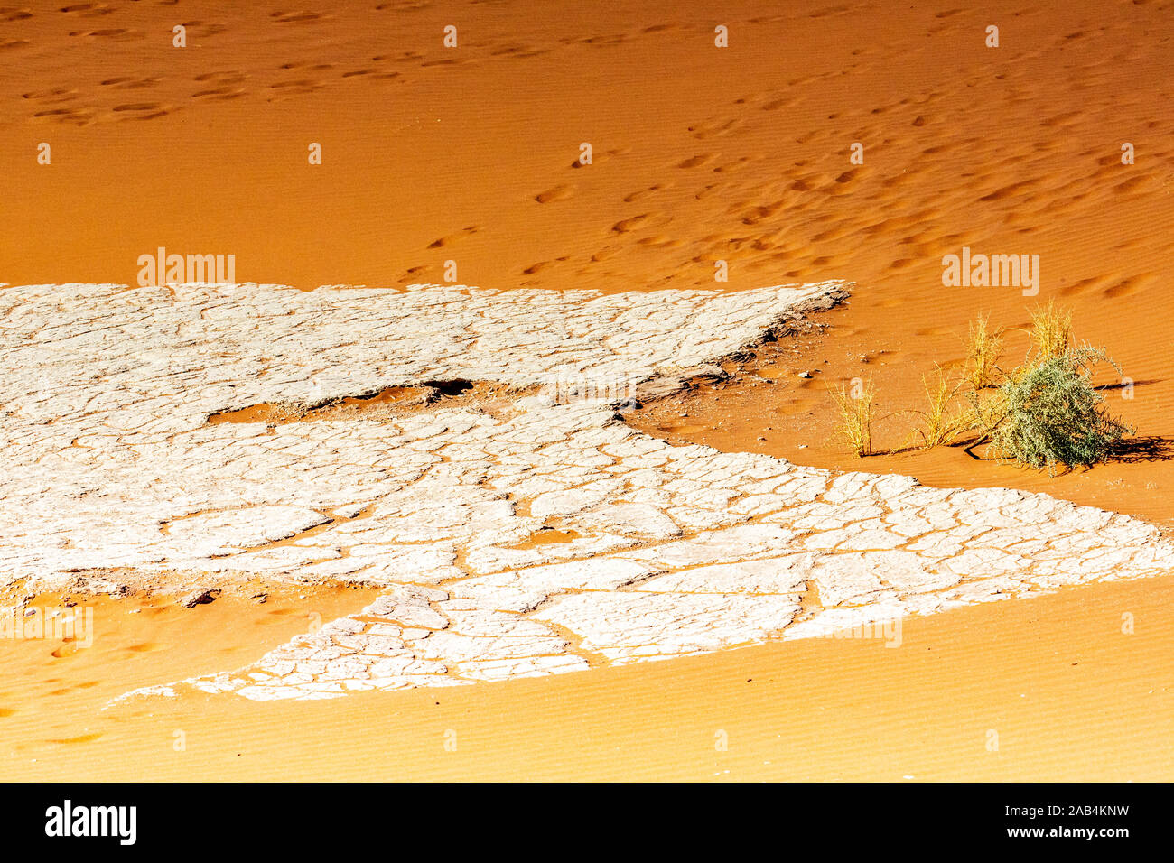 Sossusvlei and red sand dunes in the namib desert in Namibia, Africa ...