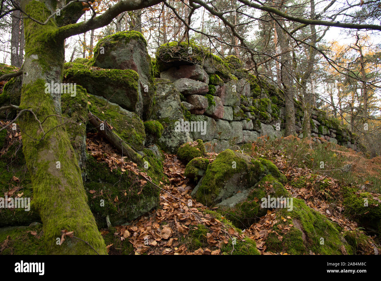 Pagan wall around the monastery Mont Saint Odile in the Vosges ...