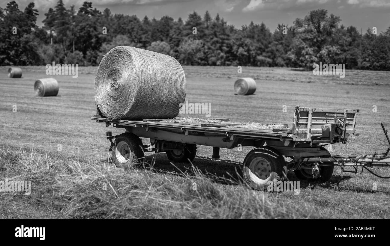 Harvesting cereal crop in Black and White Stock Photos & Images - Alamy