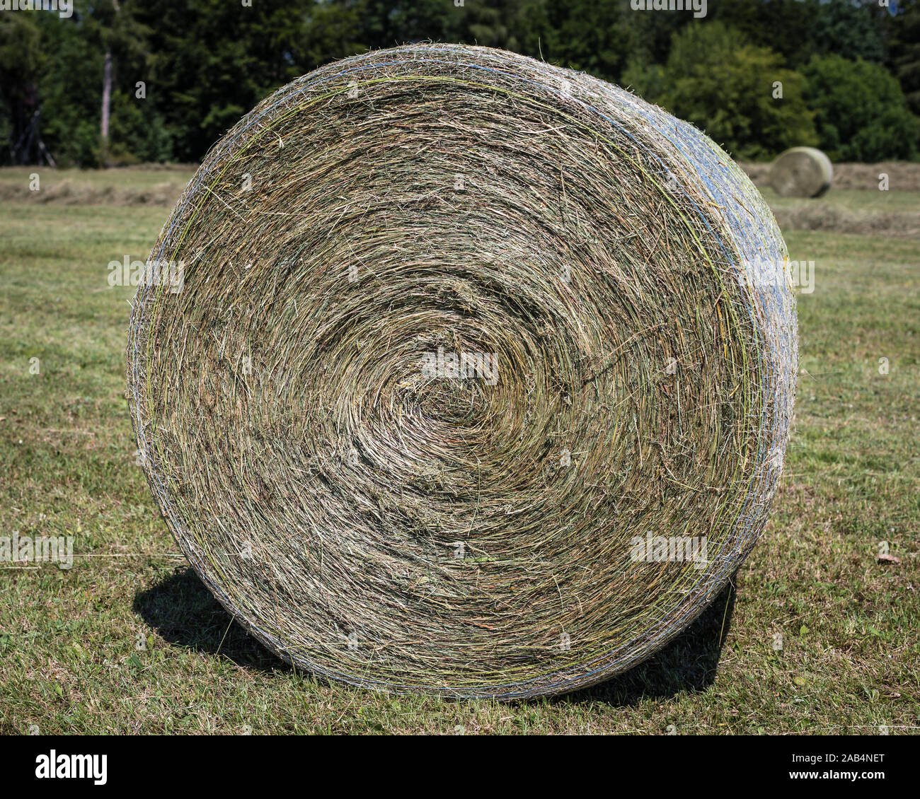 Harvesting hay in the height of summer in Germany Stock Photo - Alamy