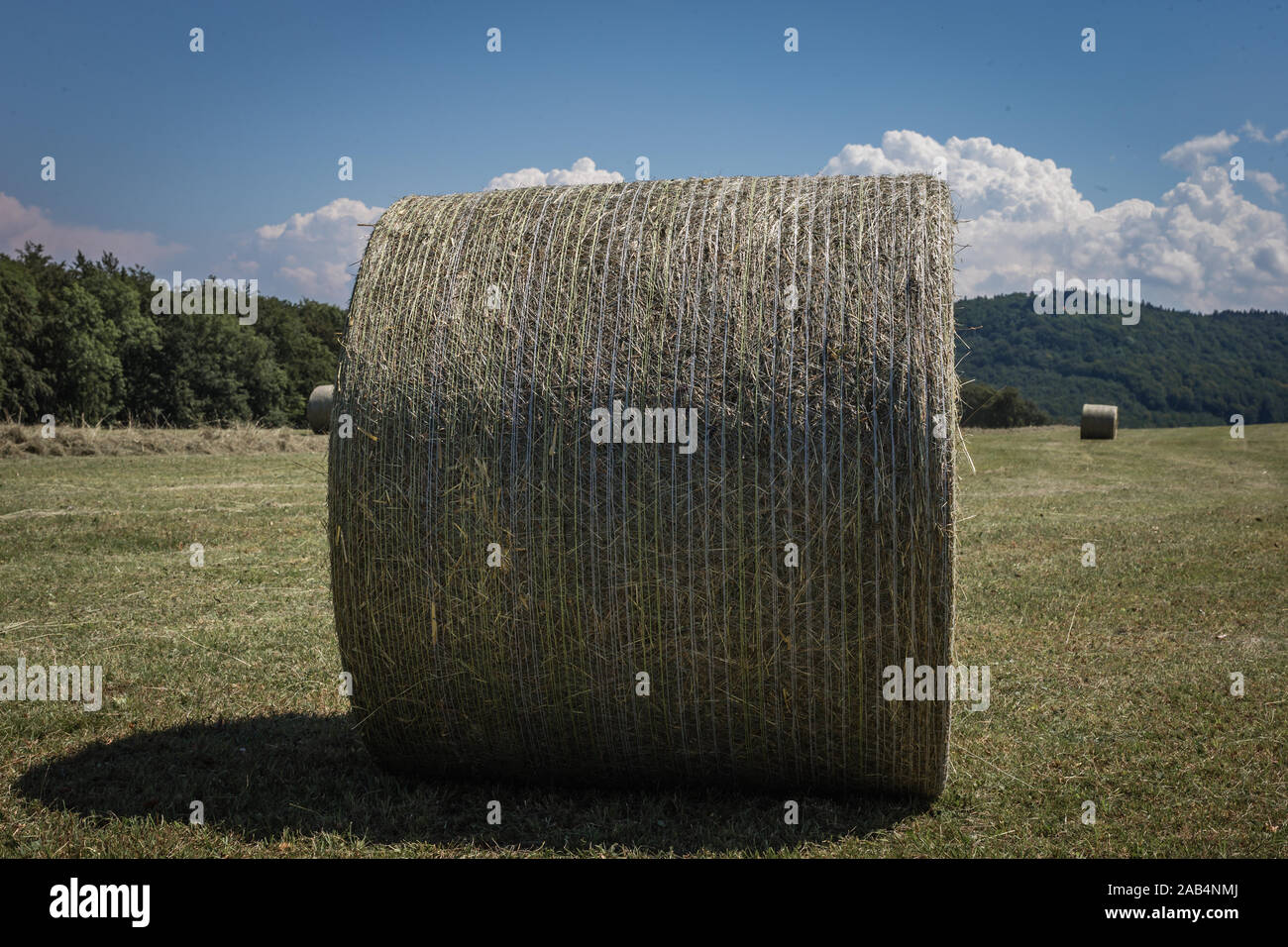Harvesting hay in the height of summer in Germany Stock Photo - Alamy