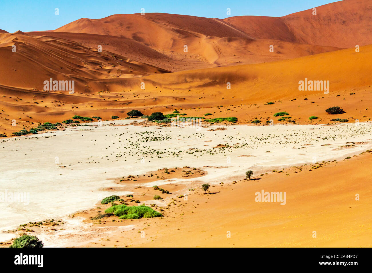 Sossusvlei and red sand dunes in the namib desert in Namibia, Africa ...