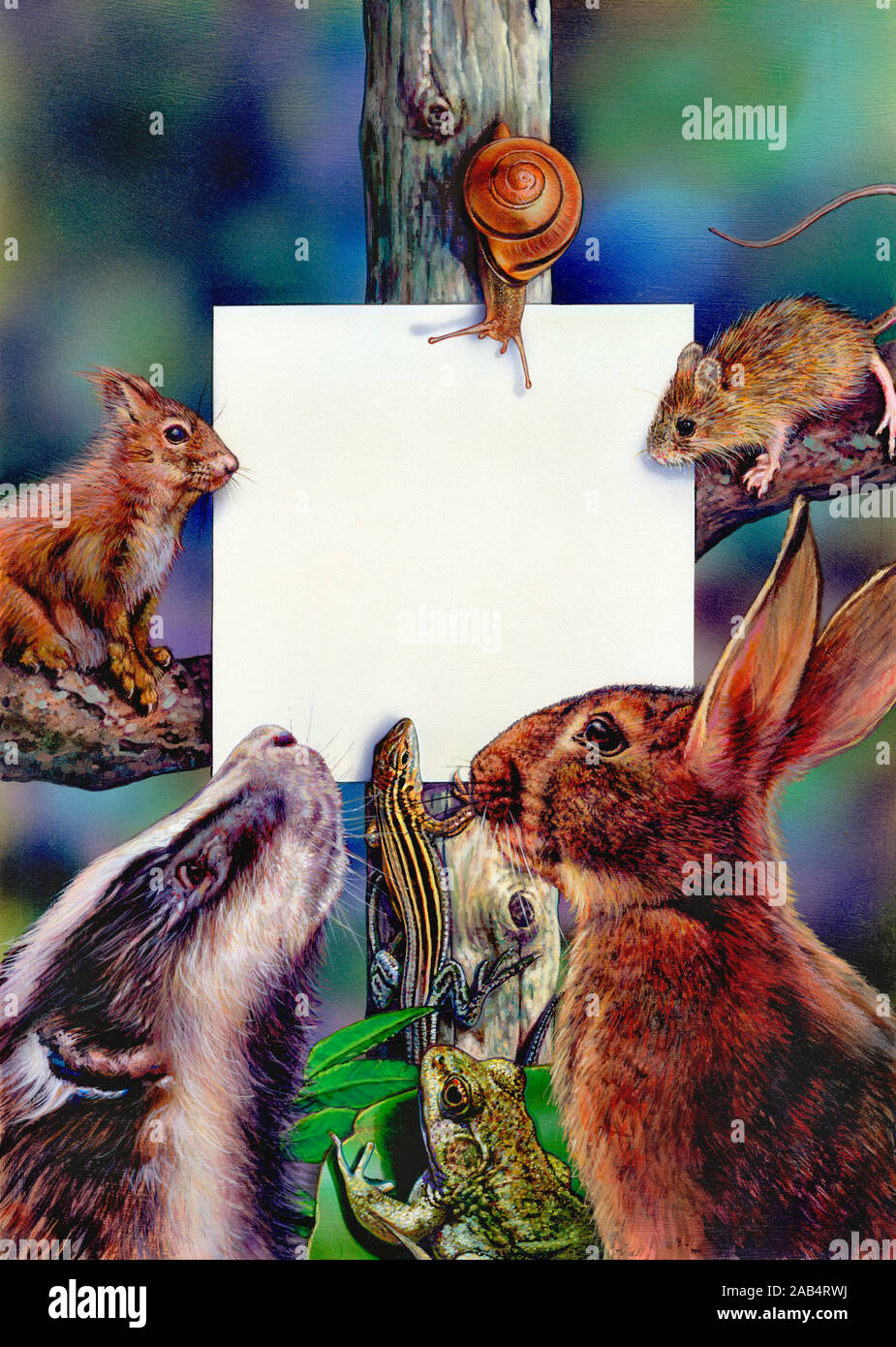 Board with animals hi-res stock photography and images - Alamy