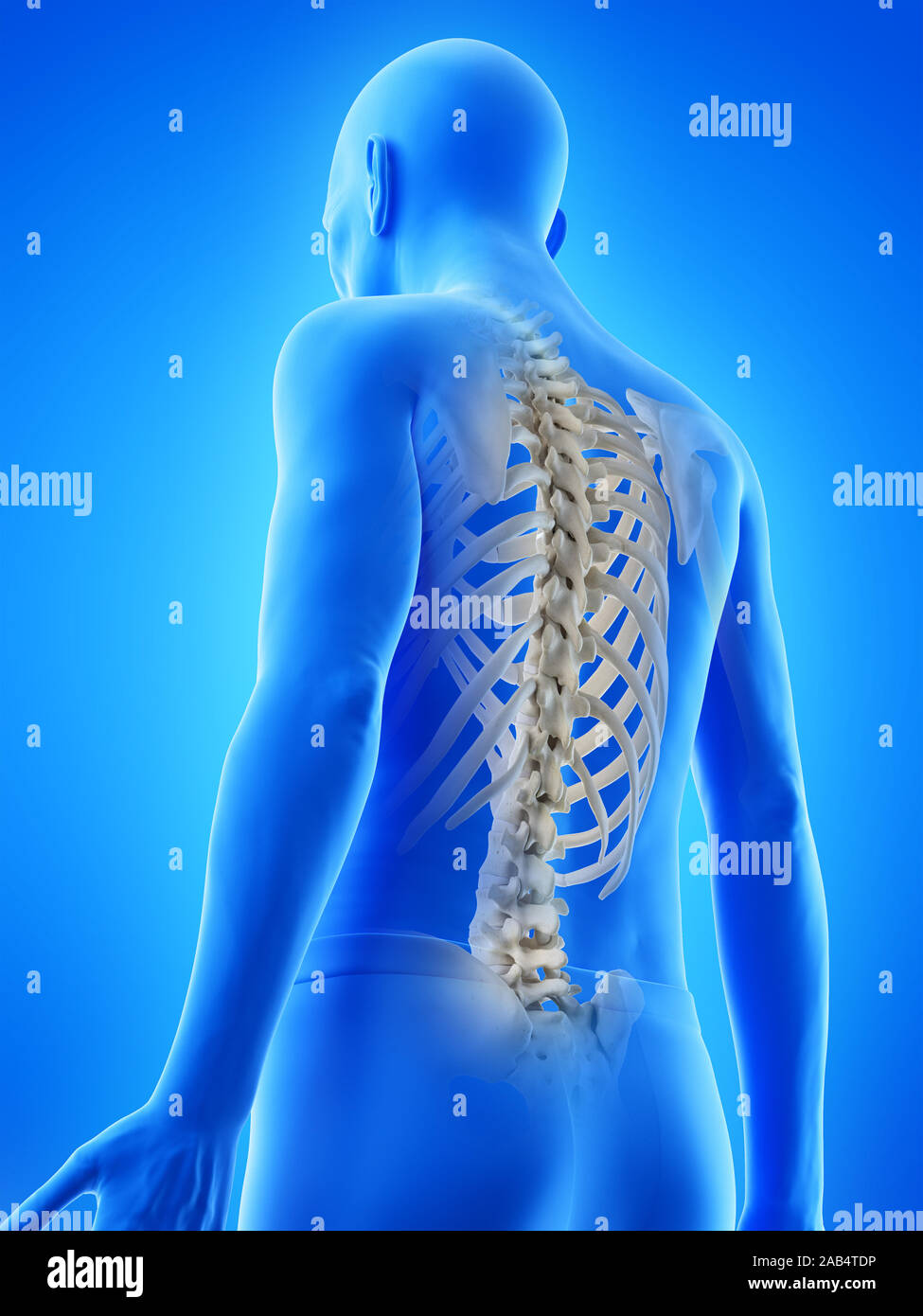 3d rendered medically accurate illustration of an old mans skeletal ...