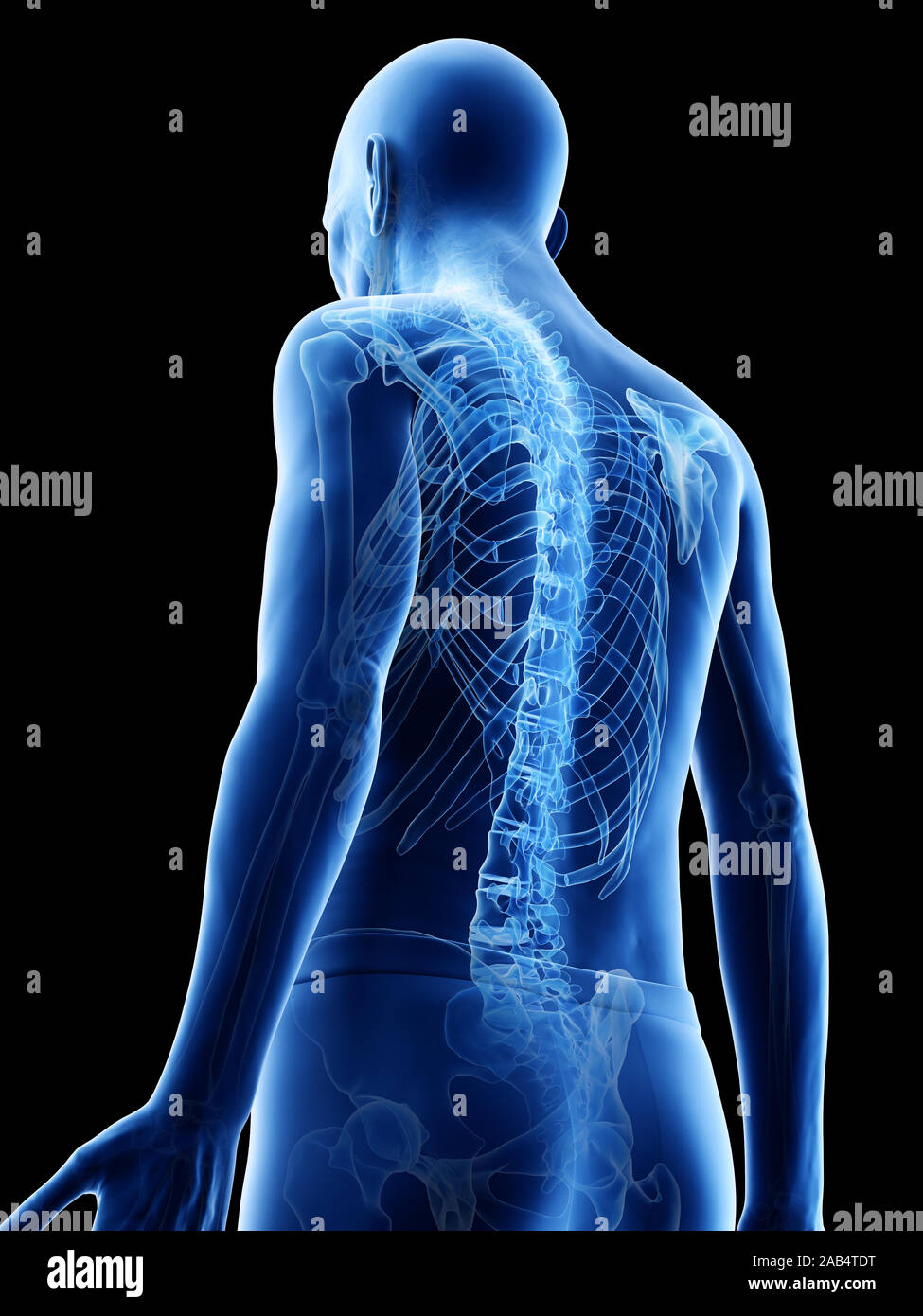 3d rendered medically accurate illustration of an old mans skeletal ...