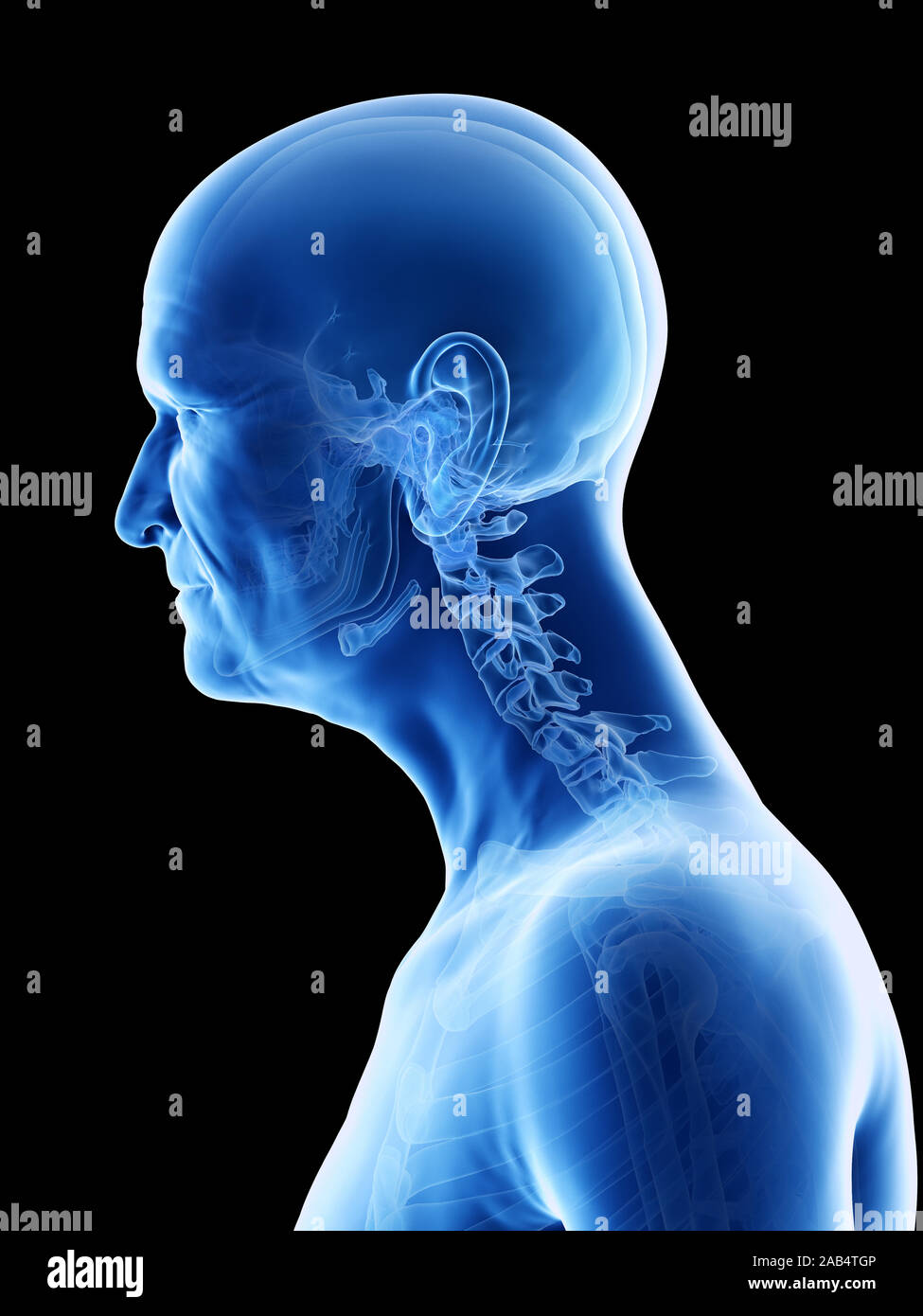 3d rendered medically accurate illustration of an old mans skeletal ...