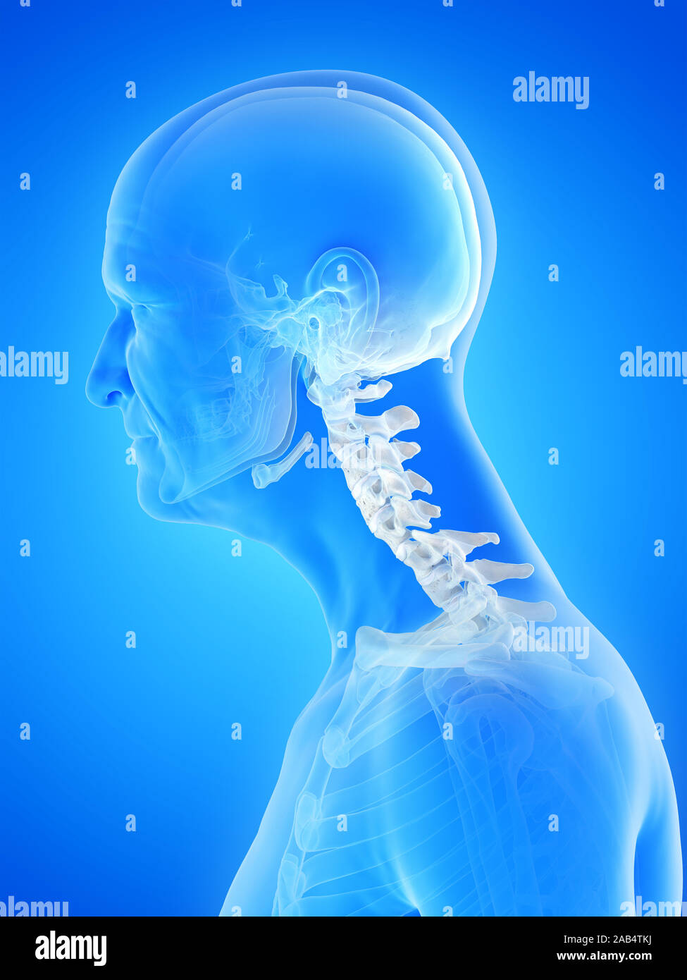 3d rendered medically accurate illustration of an old mans skeletal ...