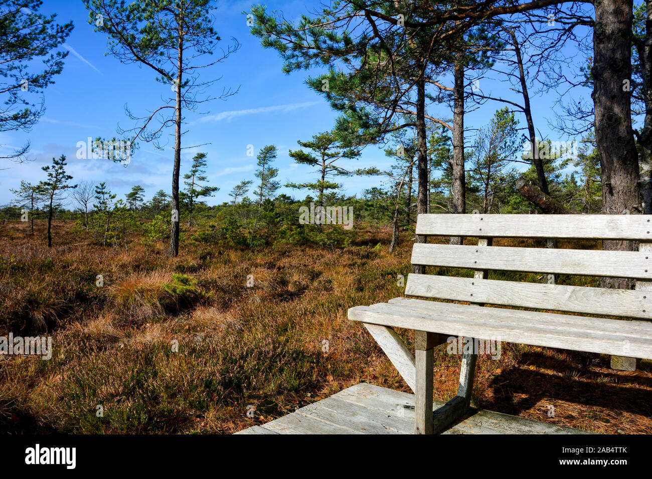 A empty part of a Bench, on the path in the Black Moor in the Rhön ...