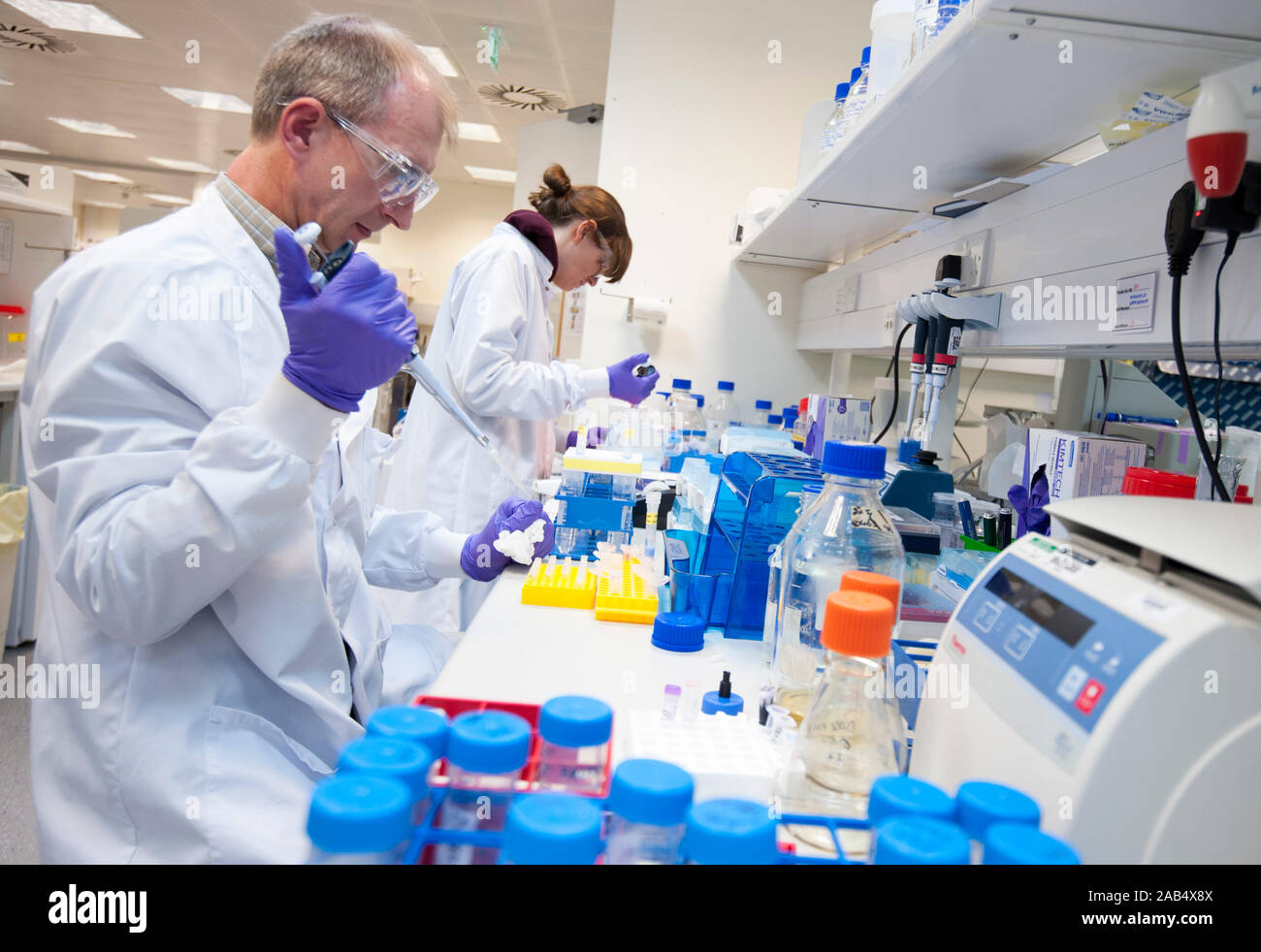 The Research area in the Medimmune laboratory biological centre of the ...
