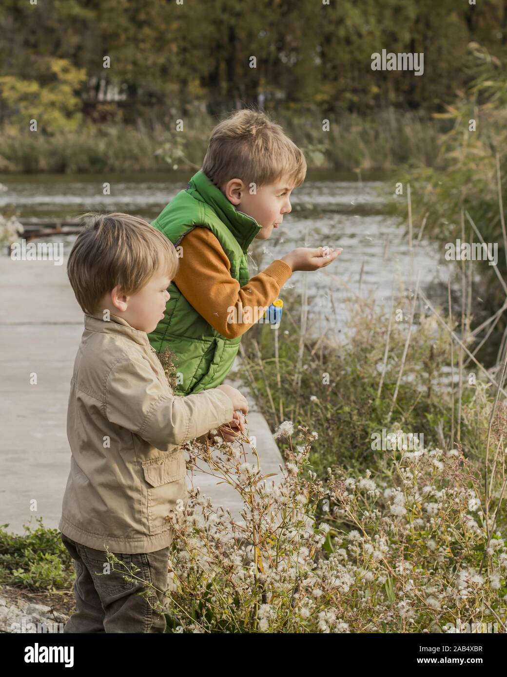 Two boys are blowing dandelions. Children in nature. Children near the ...