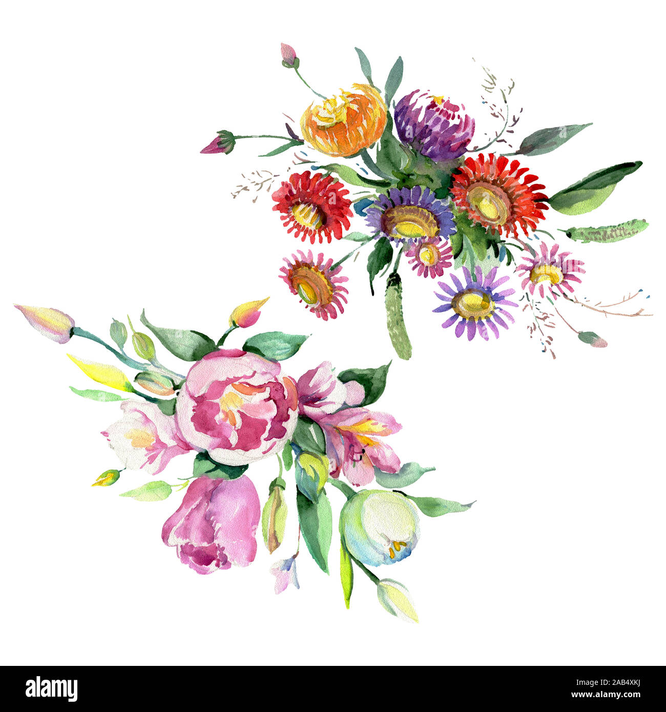 Bouquet floral botanical flowers. Watercolor background illustration ...