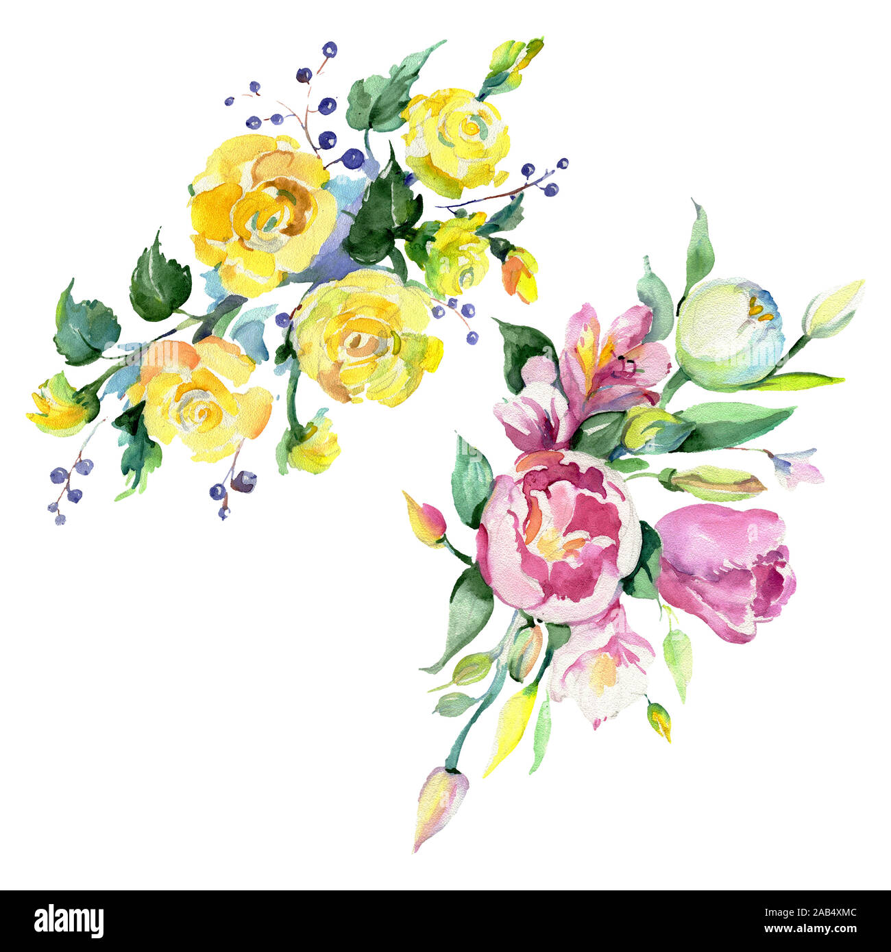 Bouquet floral botanical flowers. Watercolor background illustration ...