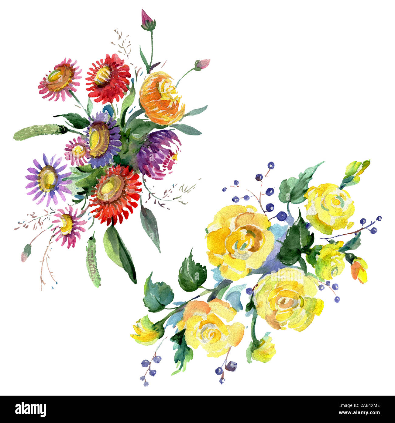 Bouquet floral botanical flowers. Watercolor background illustration ...