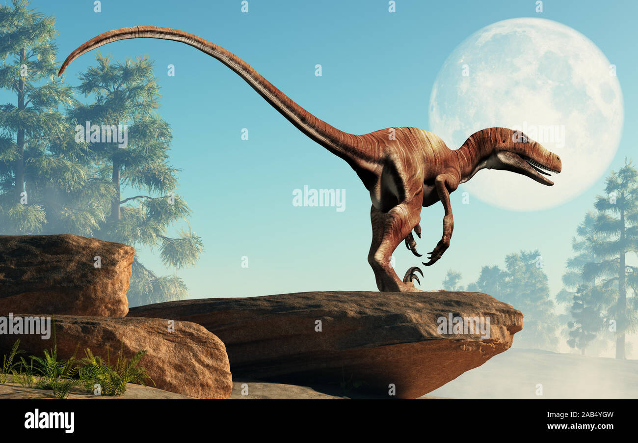 Deinonychus is a theropod dinosaur, a cousin of velociraptor, that ...