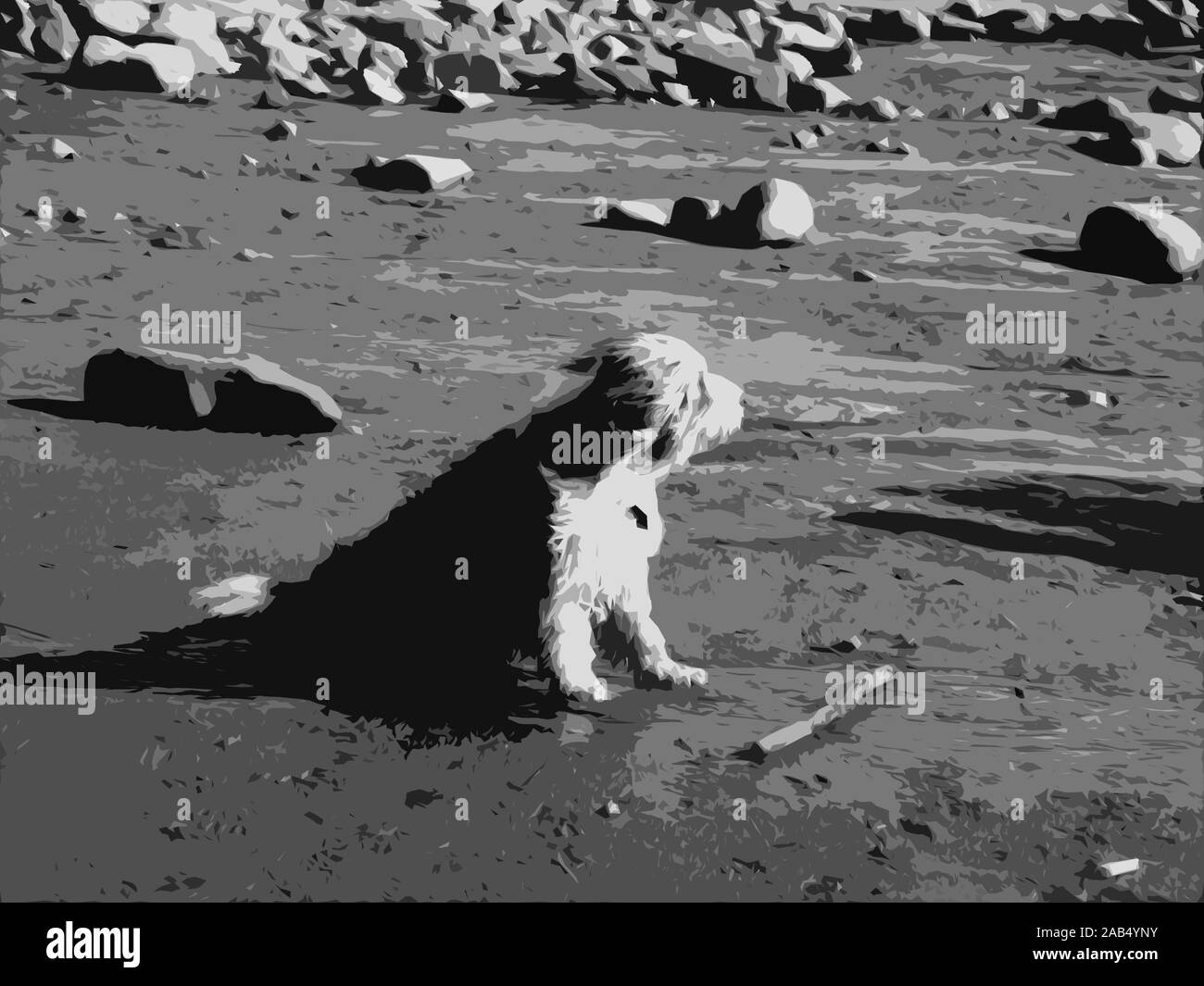The dog is sitting Black and White Stock Photos & Images - Alamy