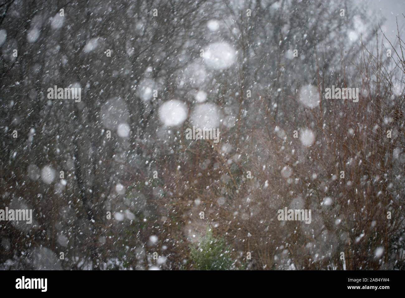 Abstract snow hi-res stock photography and images - Alamy