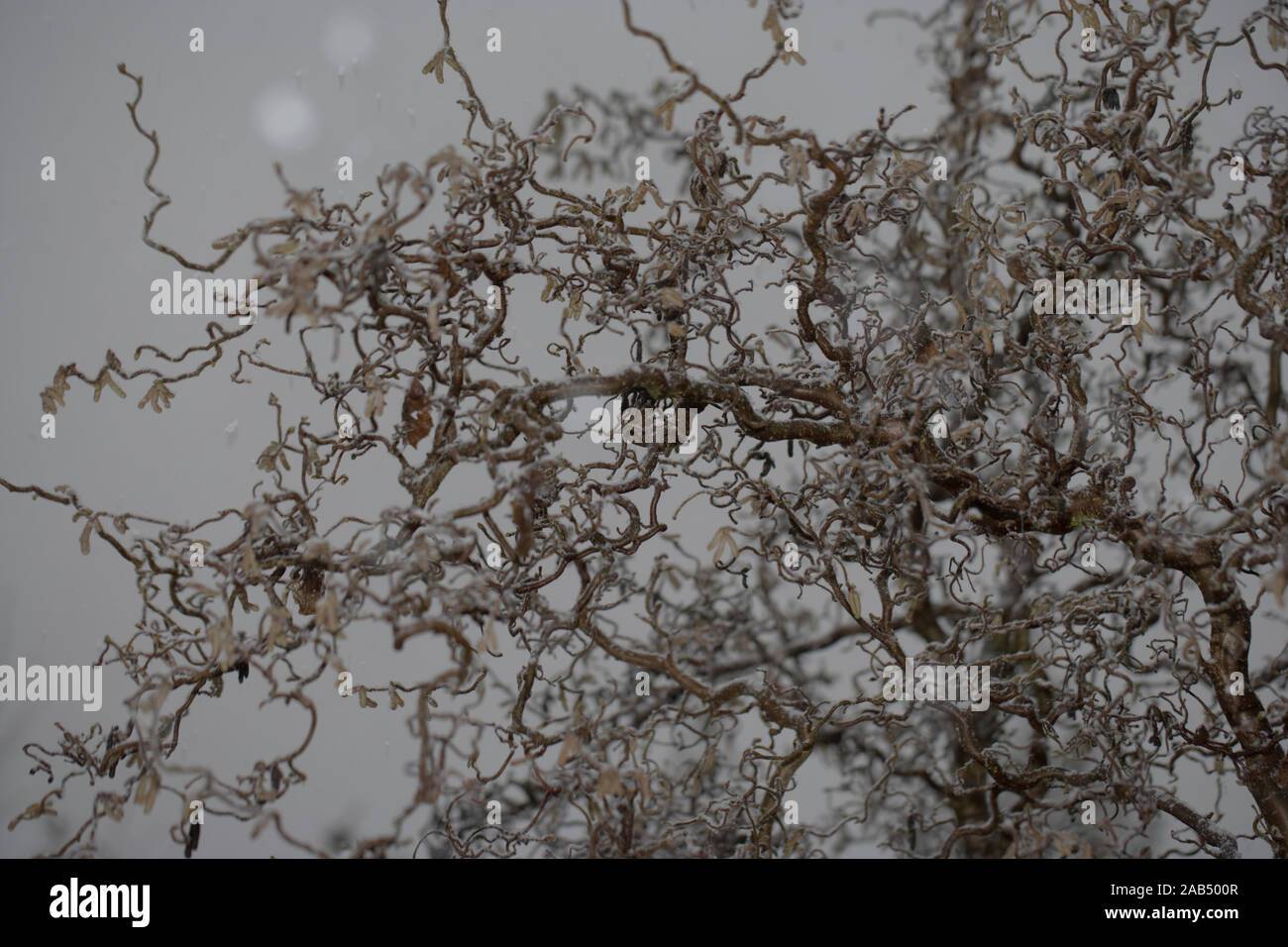 Abstract snow hi-res stock photography and images - Alamy