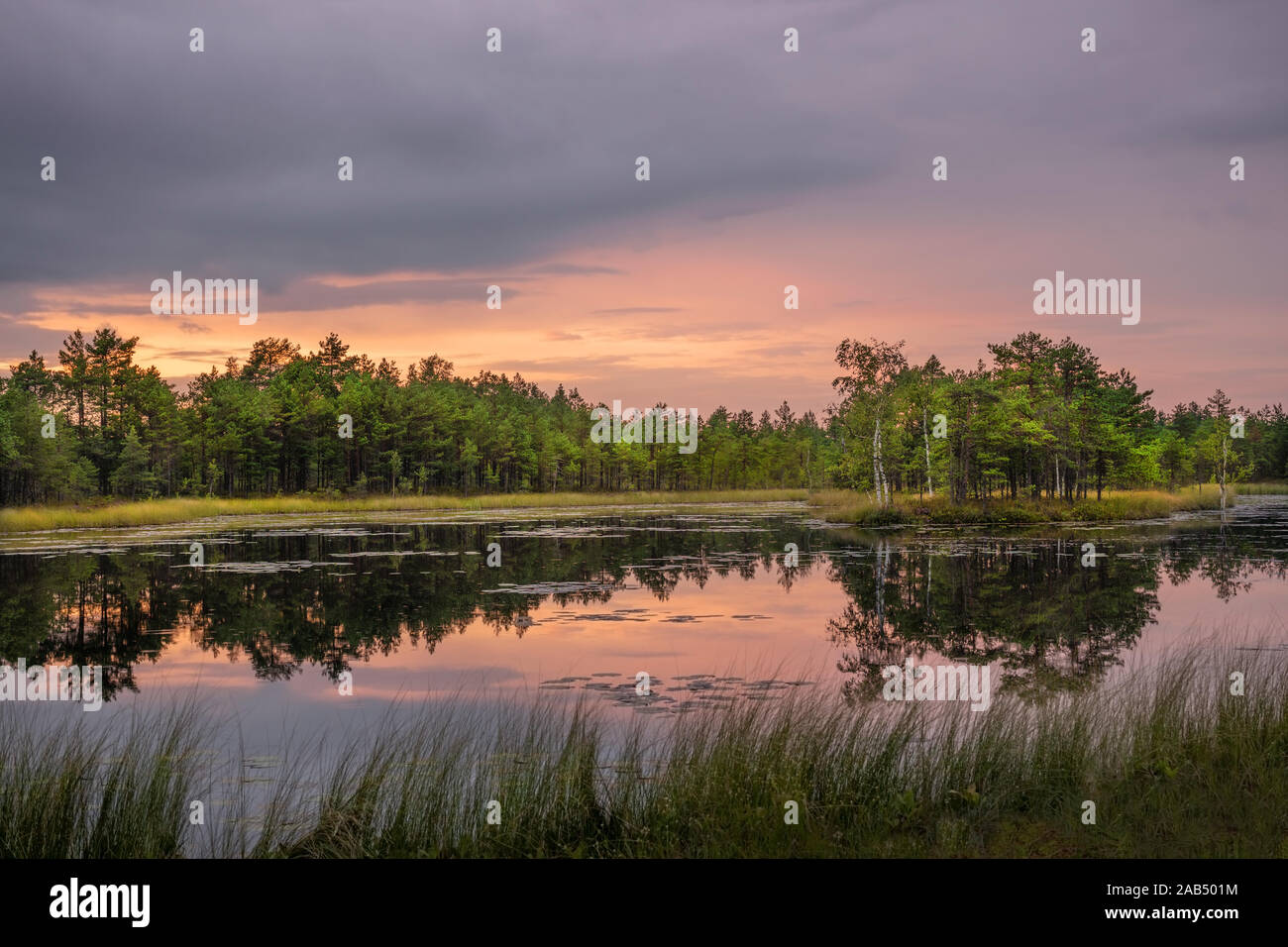 Bog Body High Resolution Stock Photography and Images - Alamy