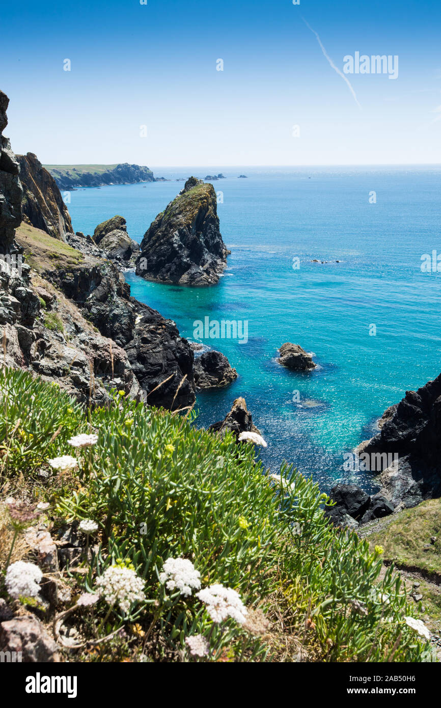 The picturesque and popular tourist destination of Kynance Cove in ...
