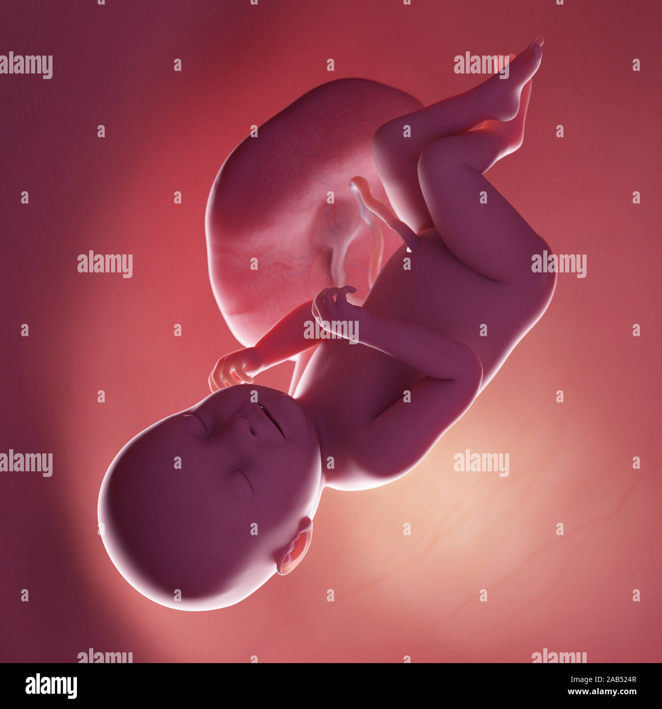 Pregnant illustration week 38 hi-res stock photography and images - Alamy