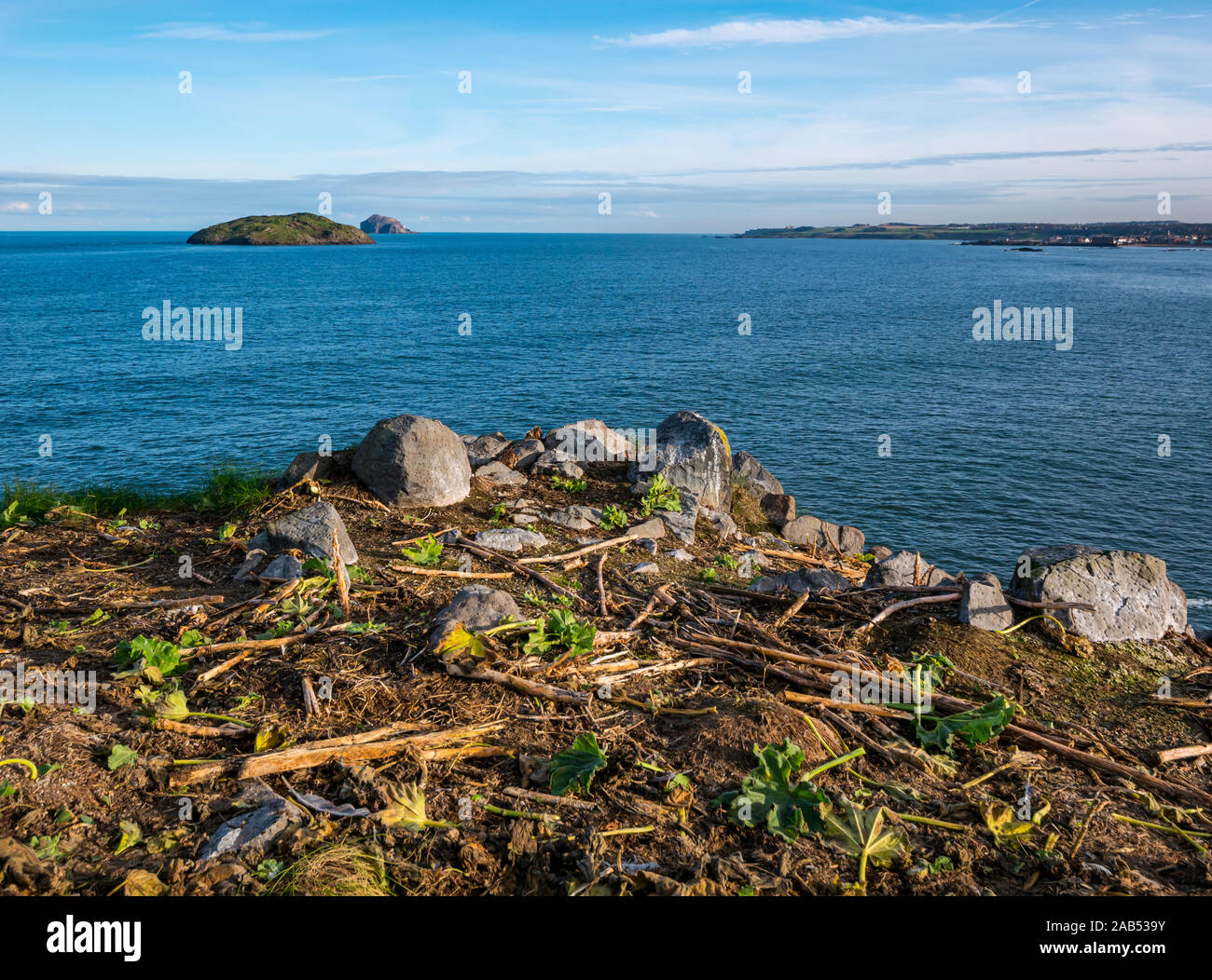 View from top of Lamb Island across Firth of Forth, Scotland, UK Stock ...